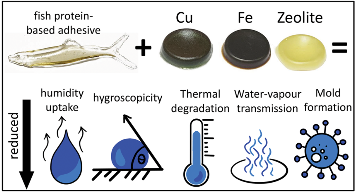 New scientific article about fish protein-based adhesive - InnoRenew ...