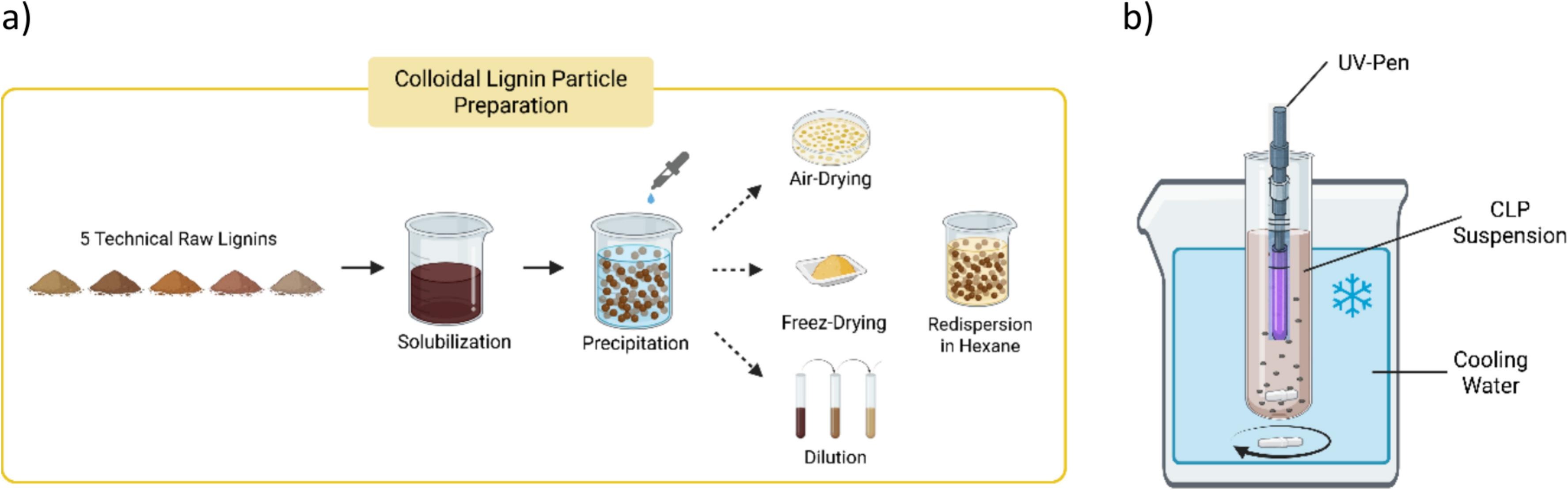 Scientific article about photochemical behavior of colloidal lignin ...